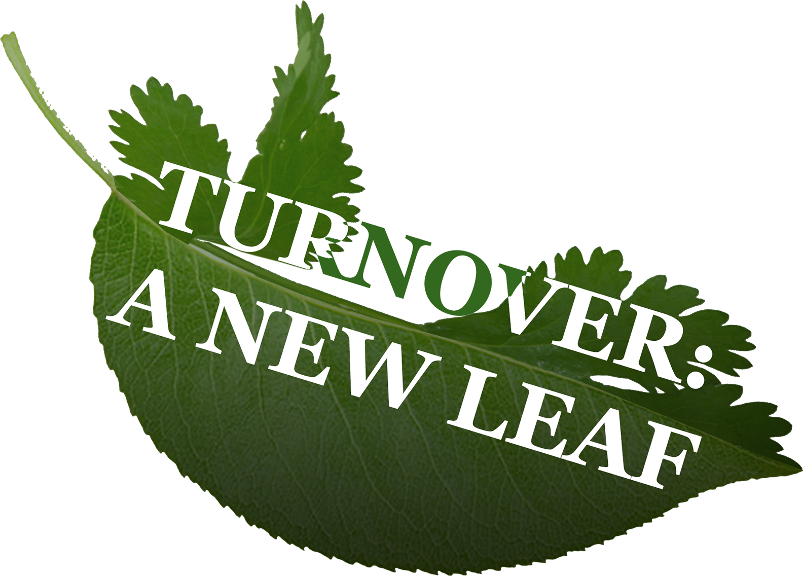 Turnover A New Leaf Turnover A New Leaf